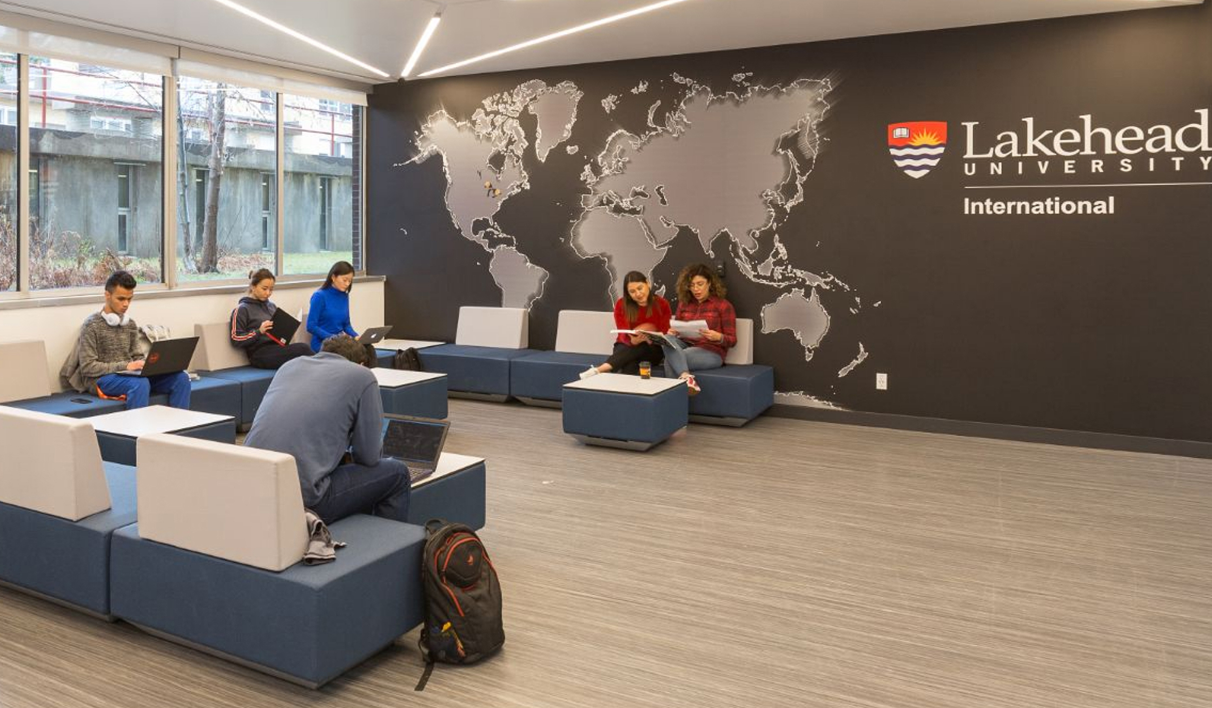 Brand Clarity - Lakehead University: A unique voice in a sea of ...